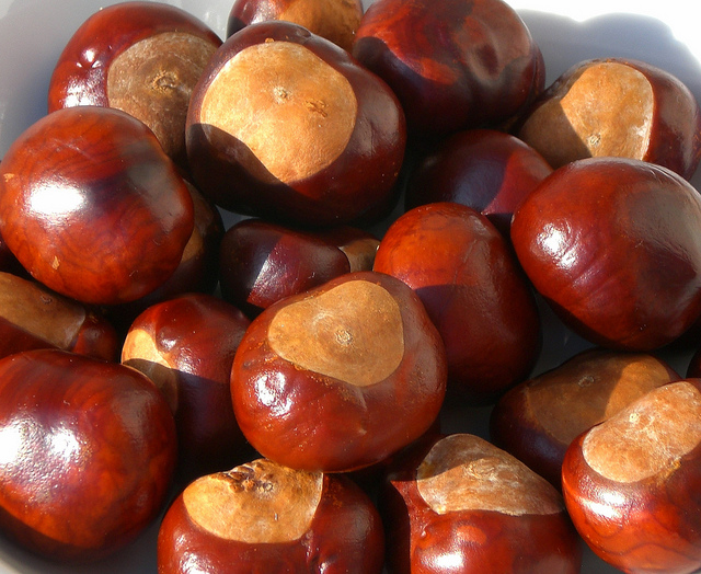 Las castañas | PequeRecetas
