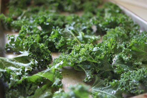 Kale, descubre las super propiedades de la berza o col rizada.