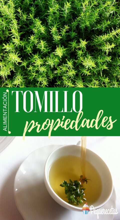 10 propiedades del tomillo que protegen tu salud - PequeRecetas