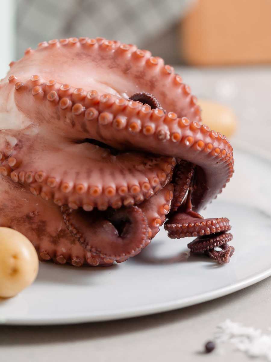 Arroz con pulpo y almejas - PequeRecetas