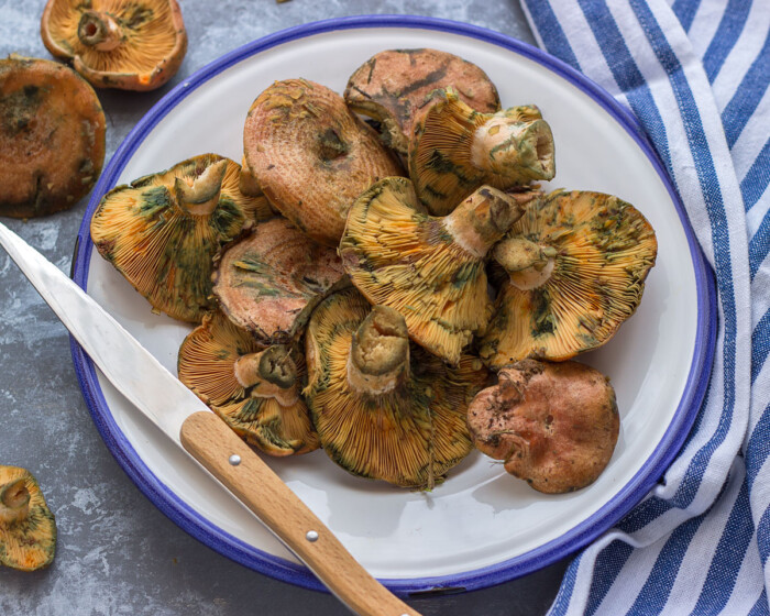 Guiso de níscalos con patatas (receta tradicional) - PequeRecetas