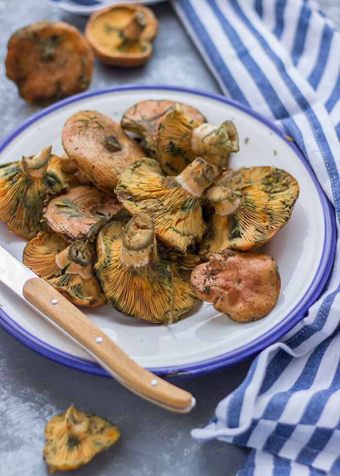 Guiso de níscalos con patatas (receta tradicional) - PequeRecetas