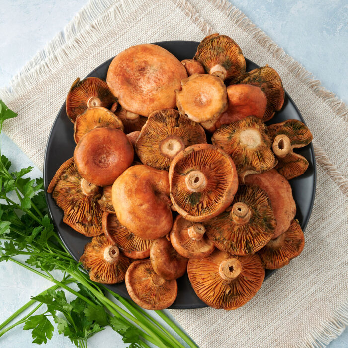 Guiso de níscalos con patatas (receta tradicional) - PequeRecetas