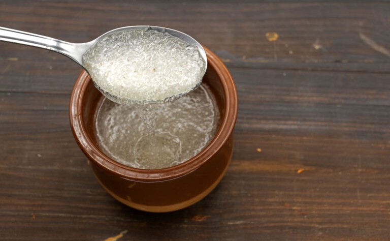 Recetas con Psyllium (qué es y cómo usarlo) - PequeRecetas