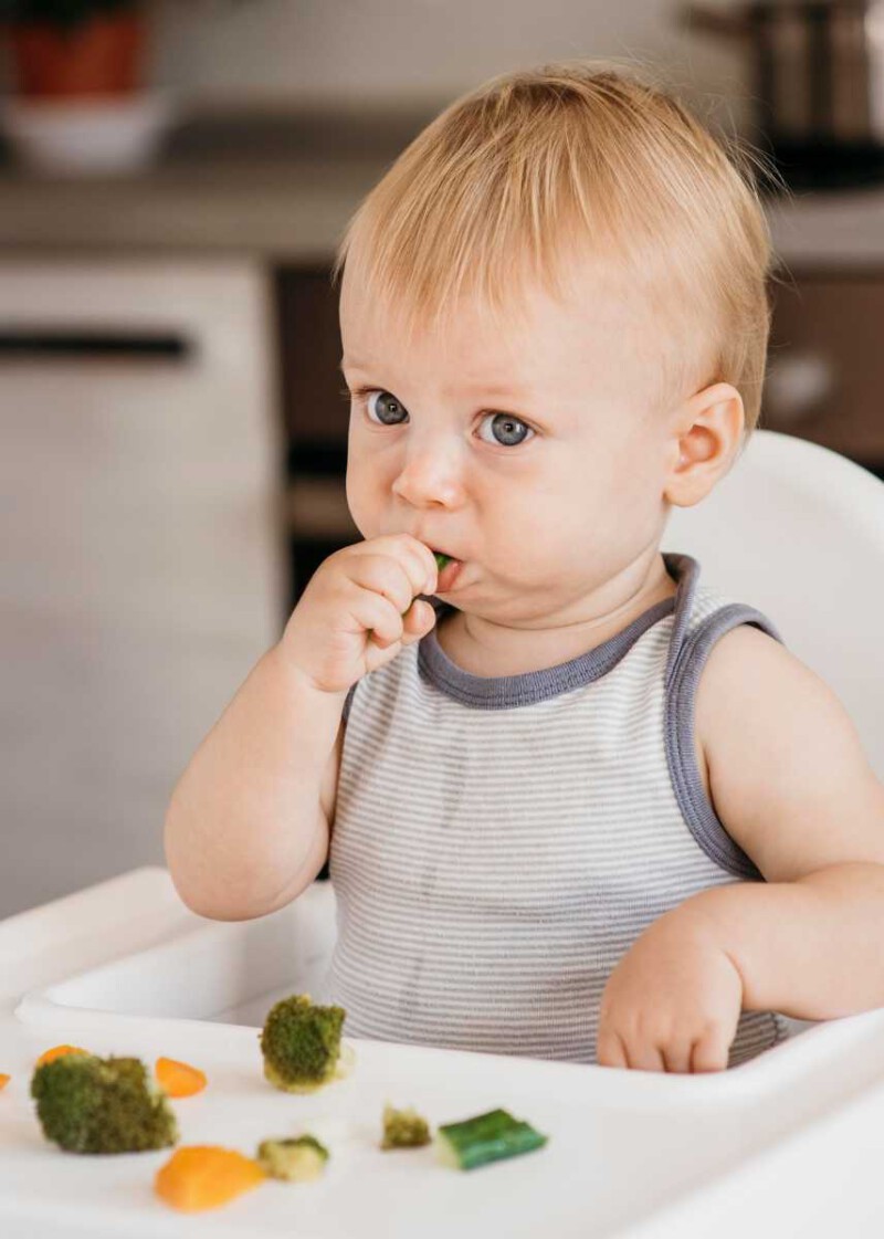 Baby Led Weaning o BLW para bebés (Guía Completa) - PequeRecetas