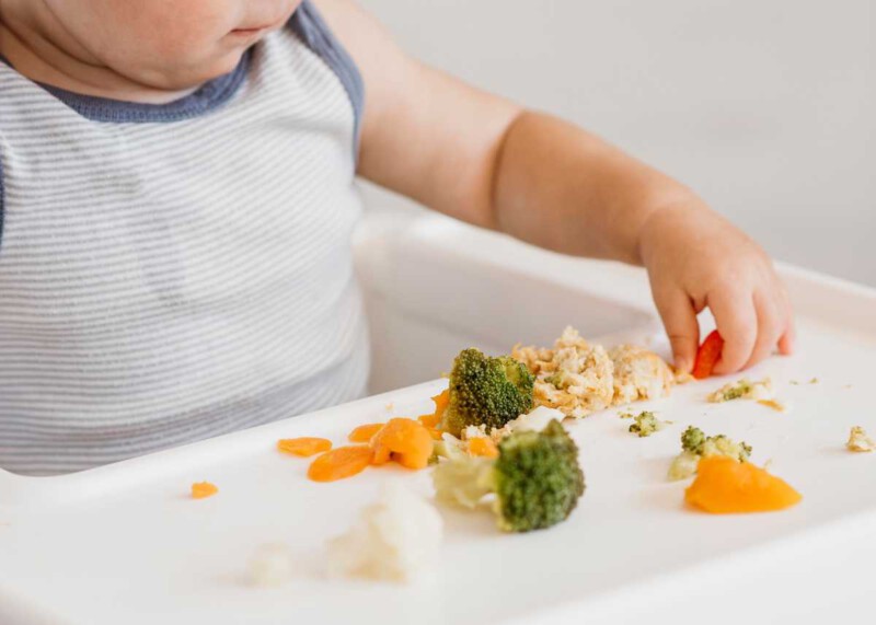 Baby Led Weaning o BLW para bebés (Guía Completa) - PequeRecetas