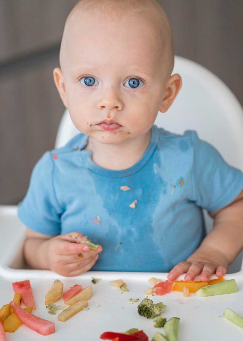 Baby Led Weaning o BLW para bebés (Guía Completa) - PequeRecetas