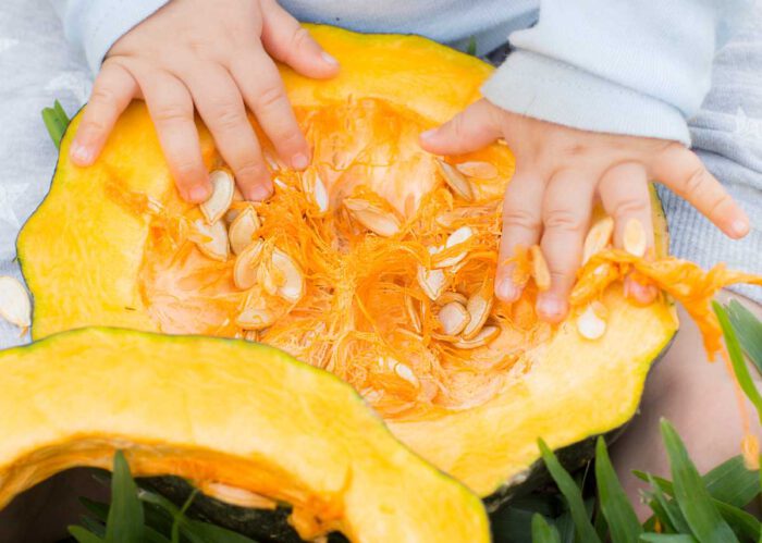 Puré de calabaza para bebés (3 recetas fáciles y muy sanas) - PequeRecetas