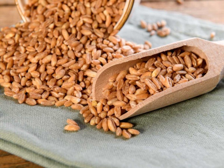 Pan de espelta (receta saludable con harina de espelta) - PequeRecetas