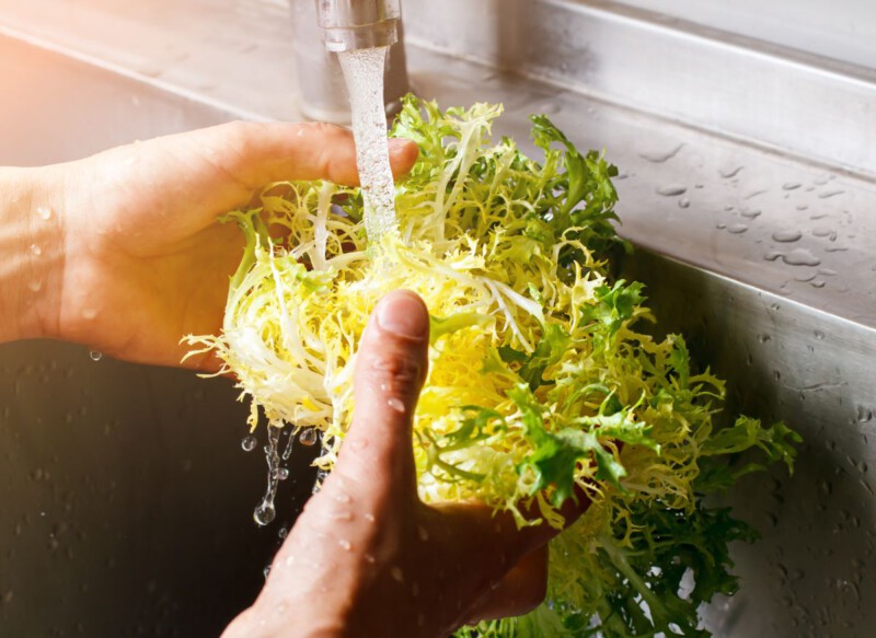 Recetas con ESCAROLA y propiedades de esta verdura rizada) - PequeRecetas