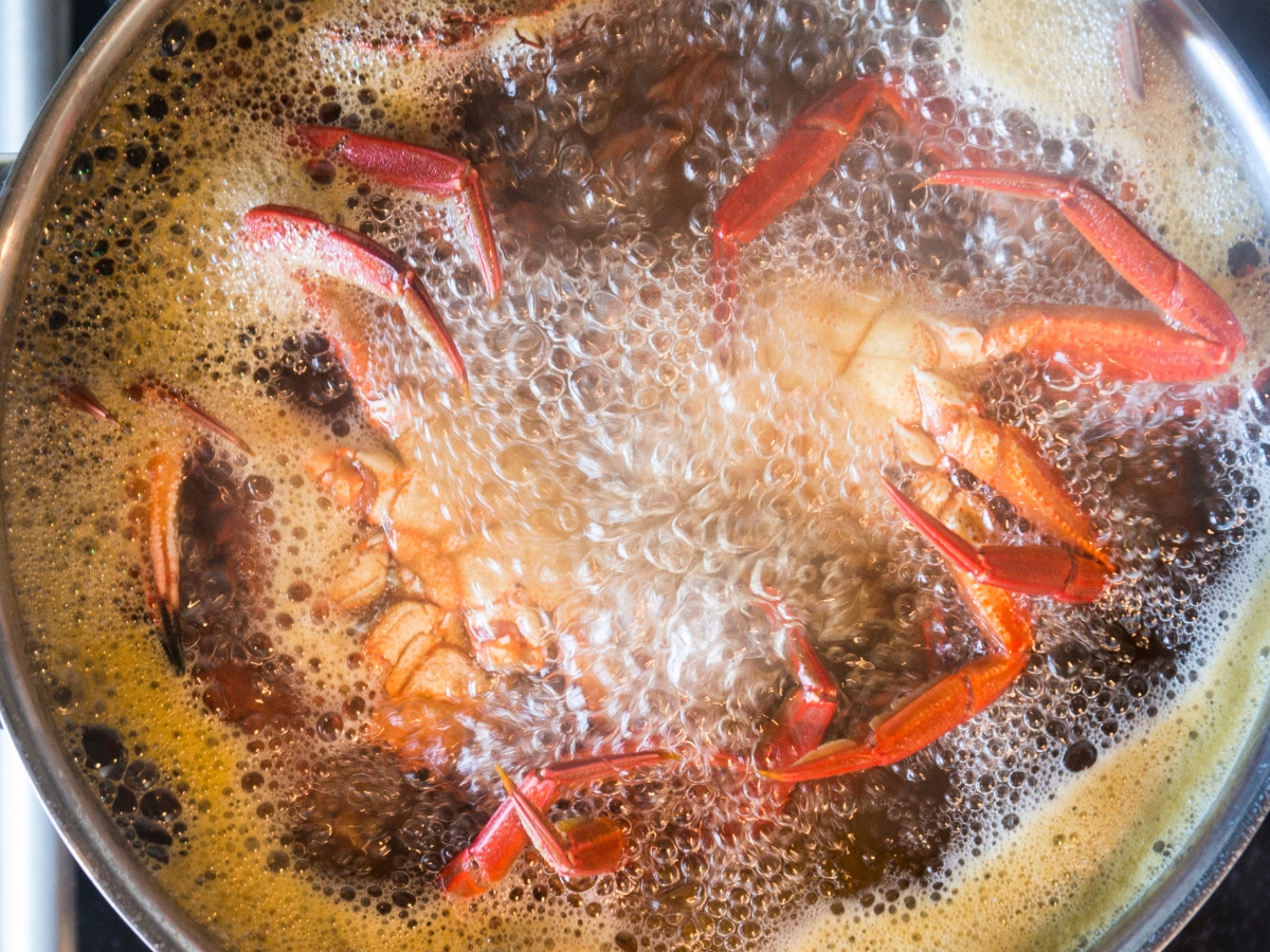 Cómo cocer nécoras vivas o muertas - PequeRecetas