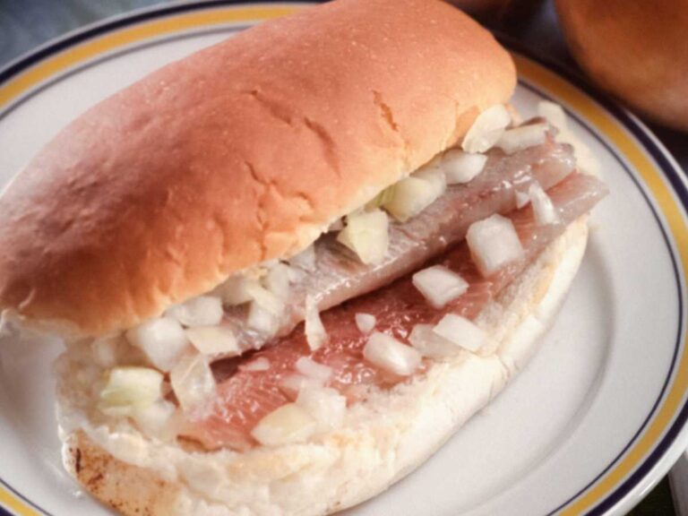 11 platos tradicionales de los Países Bajos, ¡descubre la comida típica ...