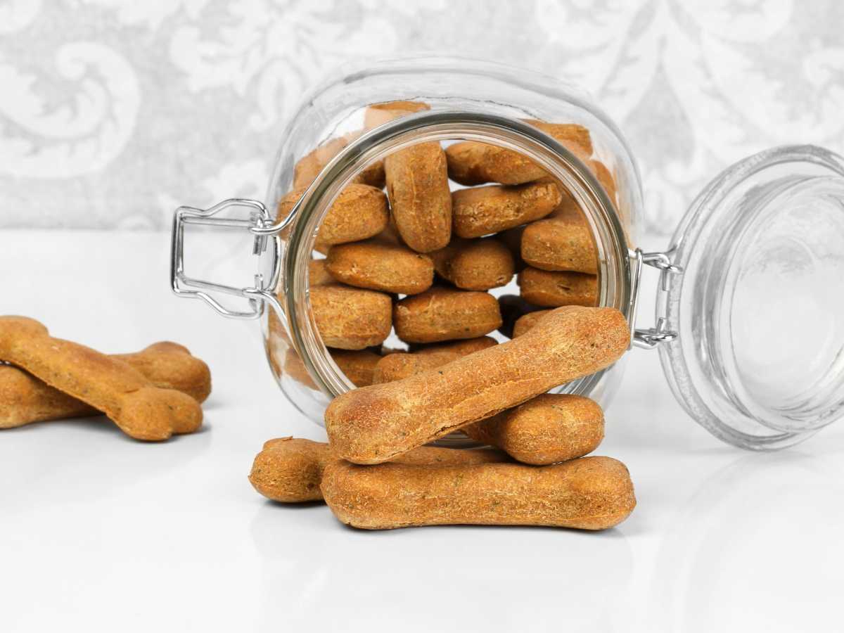 Galletas para perros caseras y saludables (2 recetas para mimar a tu ...