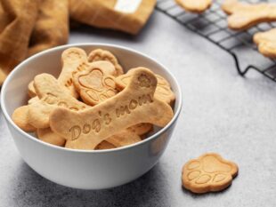 Galletas para perros caseras y saludables (2 recetas para mimar a tu ...