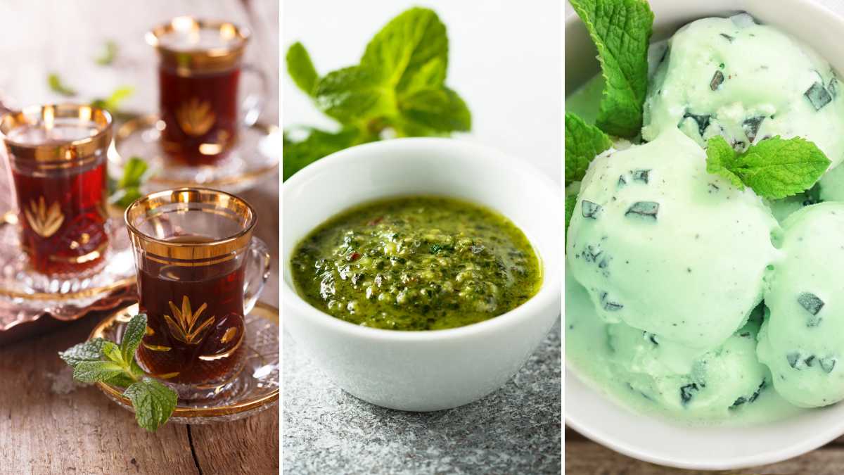 Recetas con Menta - PequeRecetas