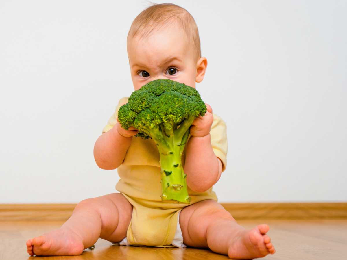 Brócoli BLW para bebés a partir de 6 meses - PequeRecetas