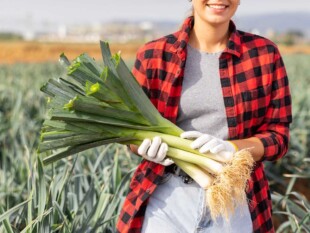El puerro: un superalimento que no estás aprovechando (y deberías ...