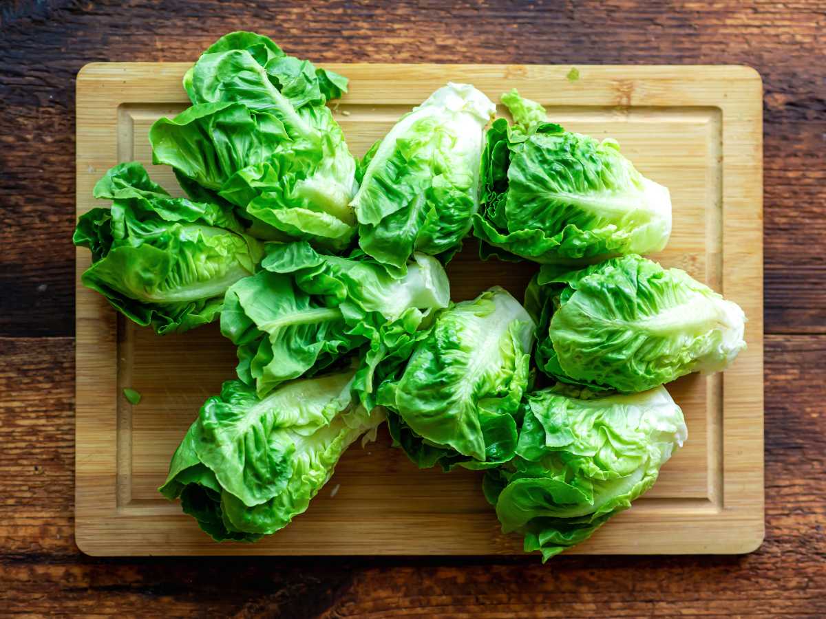 Propiedades de la lechuga y tipos: ¿sabes cuál usar en cada caso ...