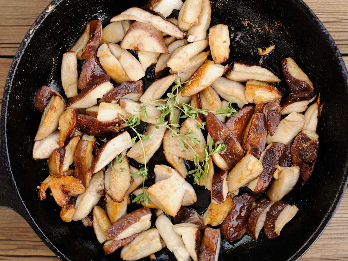 Recetas con Boletus Edulis - PequeRecetas