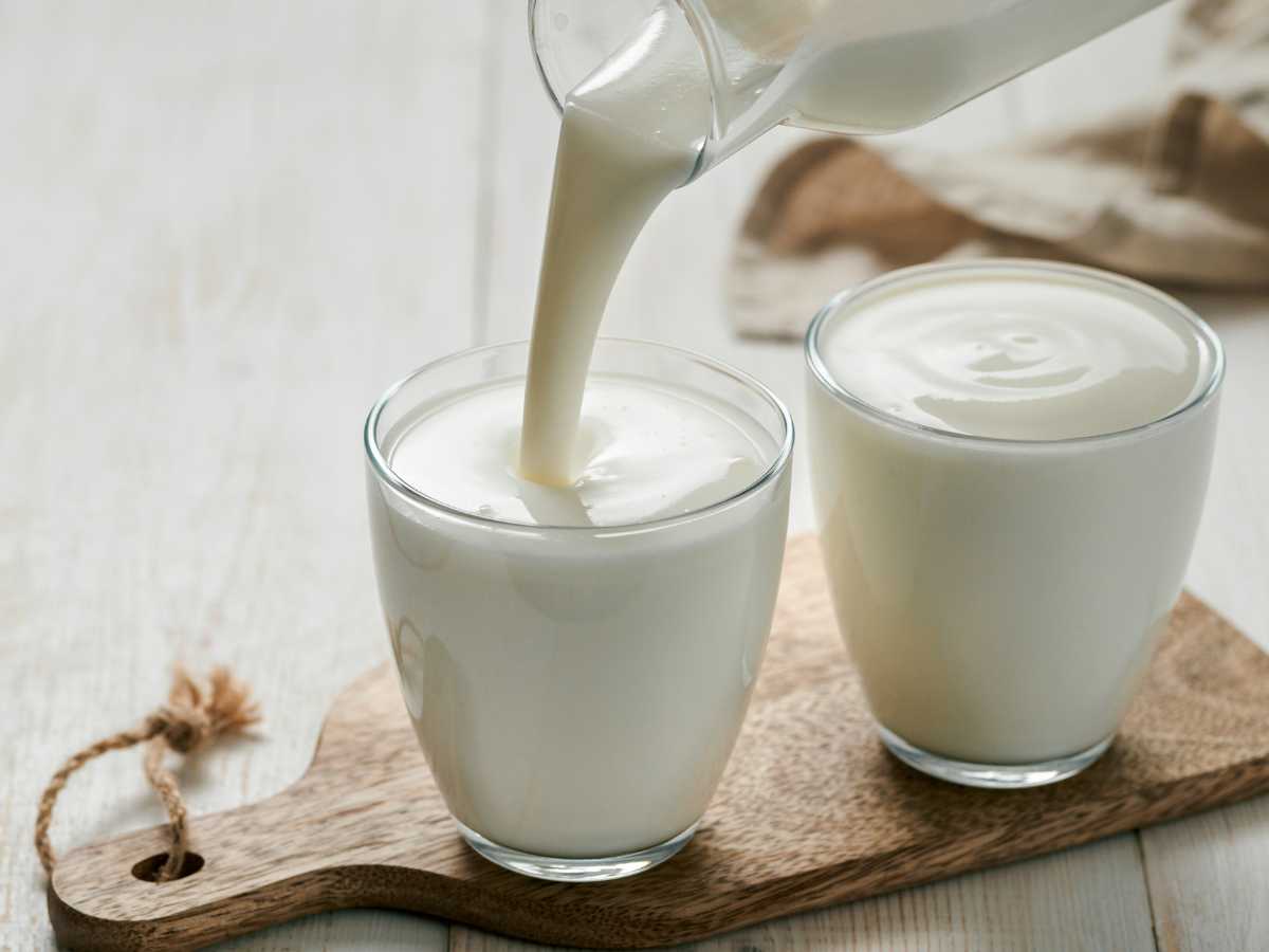 Estos 3 yogures con probióticos sí ayudan a tu flora intestinal (el ...